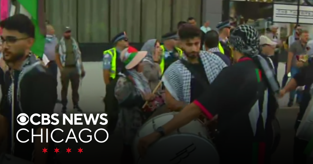 Protest on third night of DNC ends peacefully - CBS Chicago