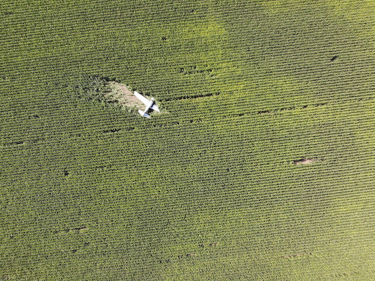 1958 aircraft makes emergency landing in Michigan cornfield - CBS Detroit