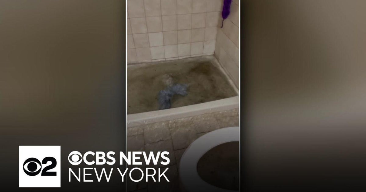 DEP inspects sewer lines of Queens residents dealing with raw sewage in ...