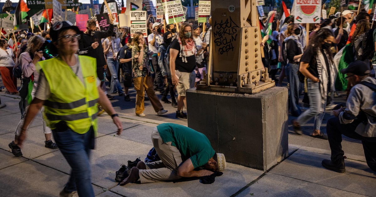 DNC reaches conclusion with further protests in Chicago