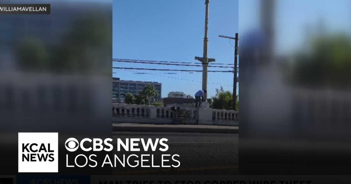 Man tries to stop brazen copper wire theft in downtown LA - CBS Los Angeles