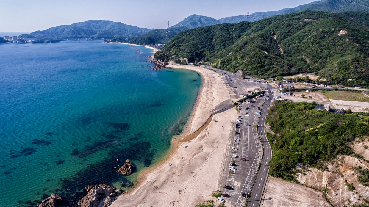 18 beachgoers in Japan have been bitten by dolphins this year, drawing ...