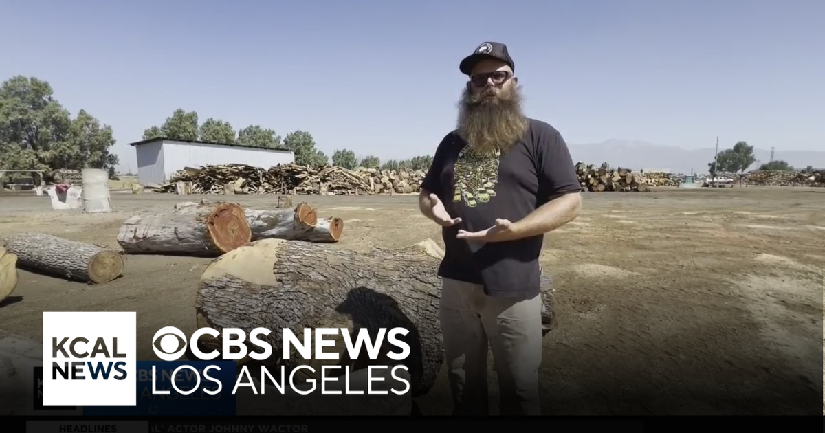 How arborists are working to reuse fallen trees from California's ...