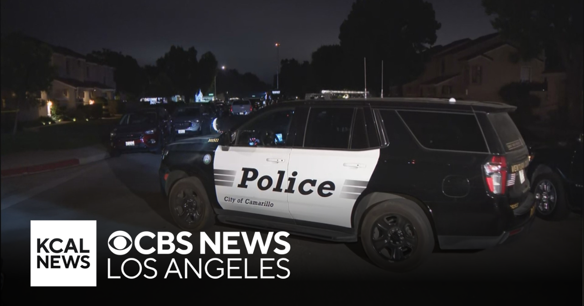 Drugs a possible factor in violent crime spree that killed two people ...