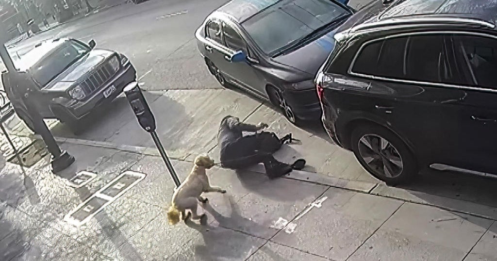 Suspect arrested in San Francisco following city-wide crime spree - CBS ...