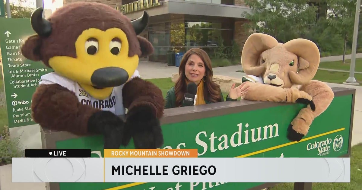 CU and CSU mascots face off leading up to Rocky Mountain Showdown - CBS ...