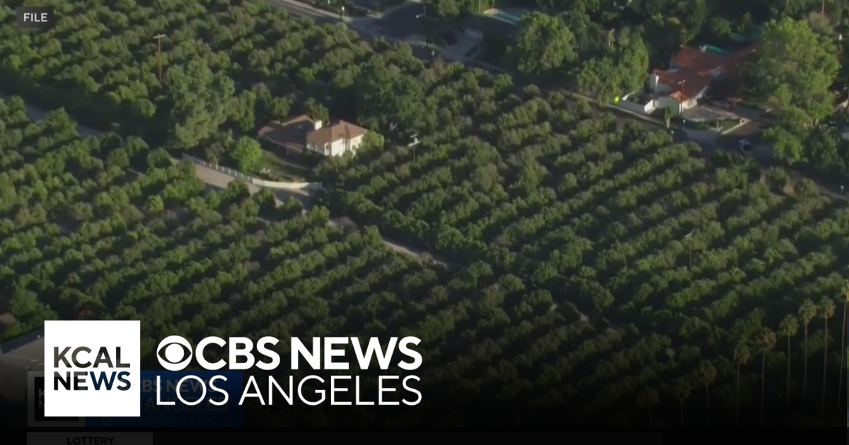 Heirs of Bothwell Ranch, LA's last orange grove, sell to real estate ...