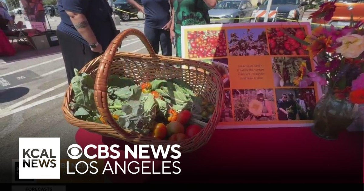 The West Los Angeles VA Medical Center hosts a resource fair for ...