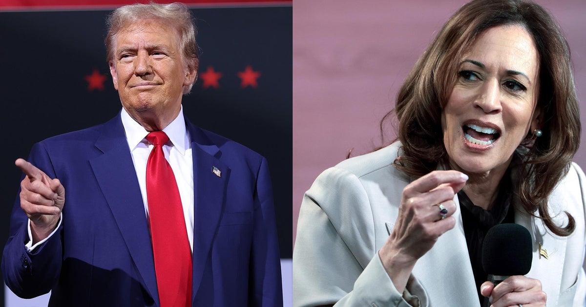 Trump holding rally in New York, Harris courting Hispanic voters with ...