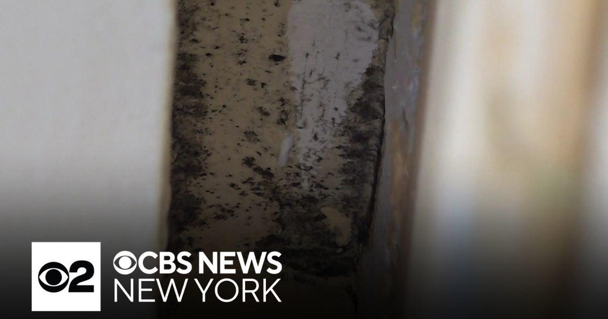 Brooklyn childhood education center waits months for NYCHA to address ...