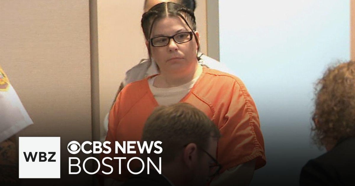 Disturbing details revealed as New Hampshire mother pleads guilty to ...