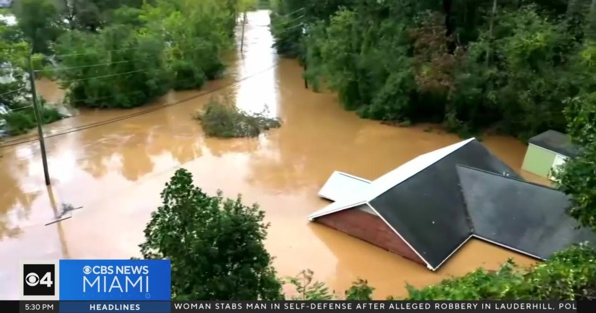 South Florida native forced to deal with disaster left behind Helene in ...