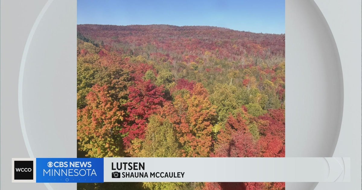 How climate change is affecting Minnesota's fall colors - CBS Minnesota