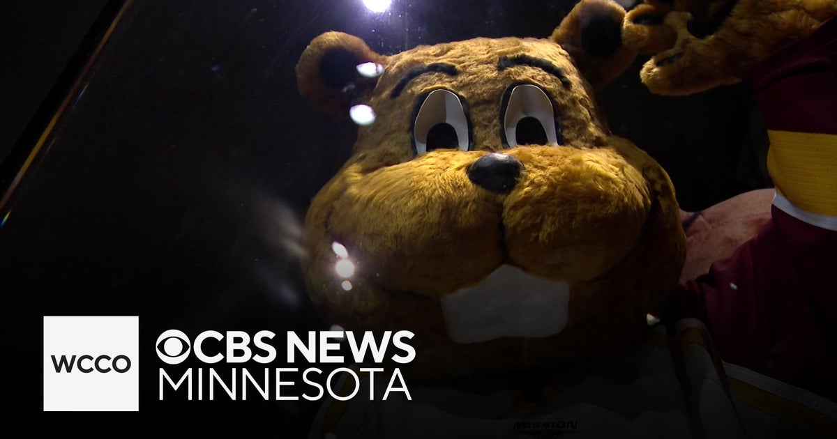 mn golden gophers coloring pages