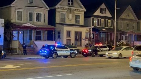 Dog Attack news - Today’s latest updates - CBS News