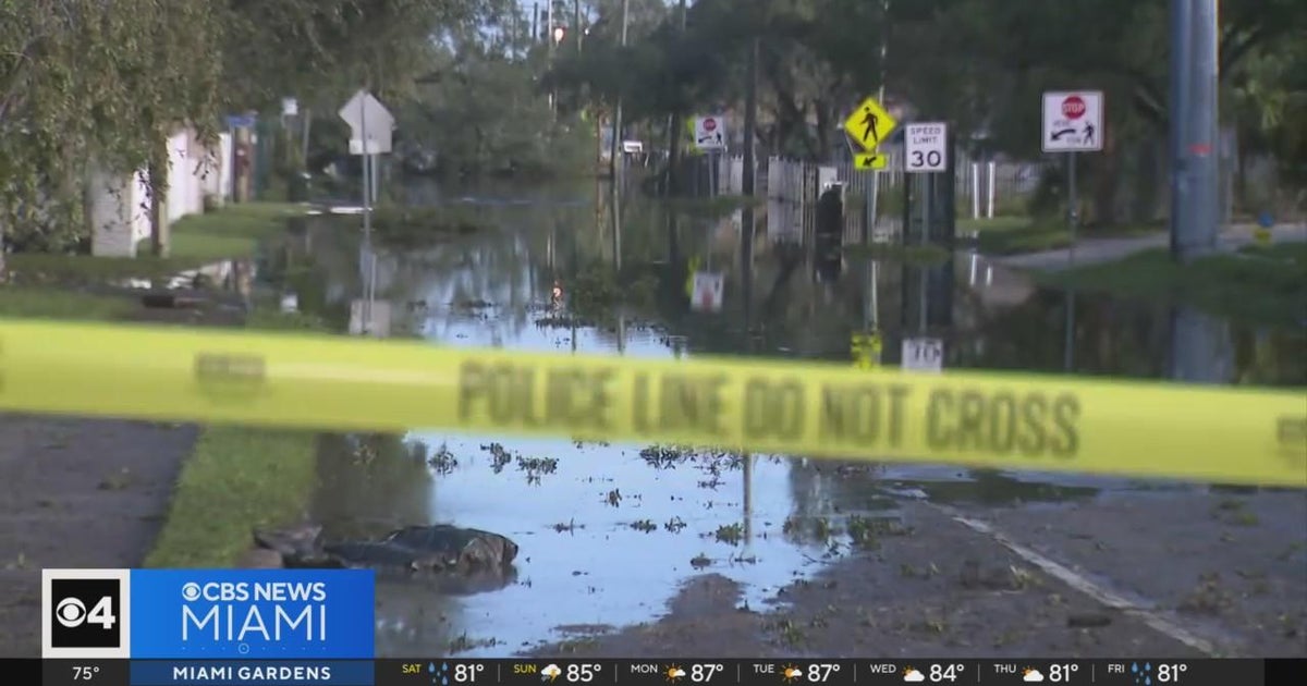 Florida Faces Gas Shortage After Hurricane Milton | VT News