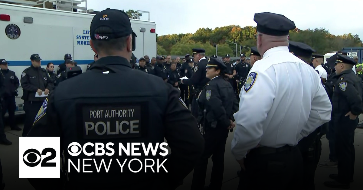 Joint task force conducts ghost plate operation on Staten Island - CBS ...