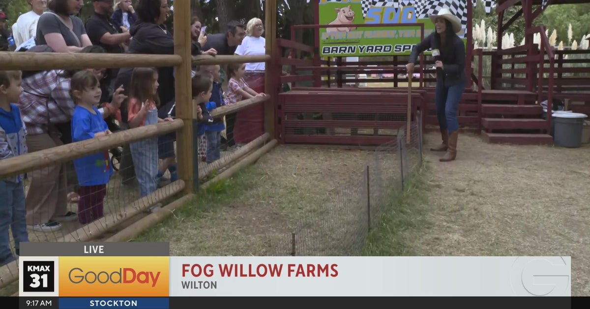 Fog Willow Farms in Wilton - Good Day Sacramento