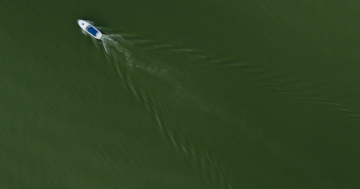 Getting rid of problem algae on Lake Erie starts with giving it less ...
