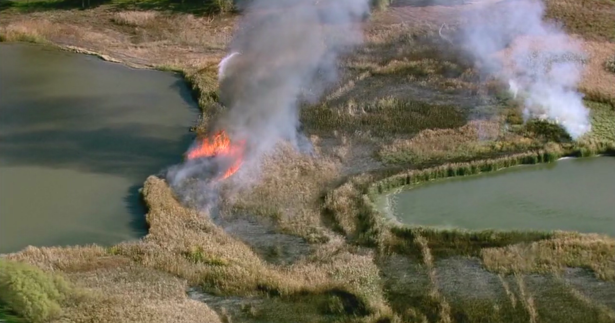 Grass fire rages in southwest Chicago suburbs - CBS Chicago