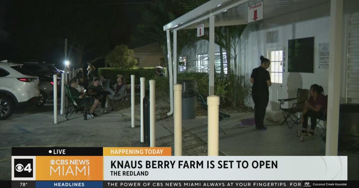 Knaus Berry Farm set to open for the season - CBS Miami