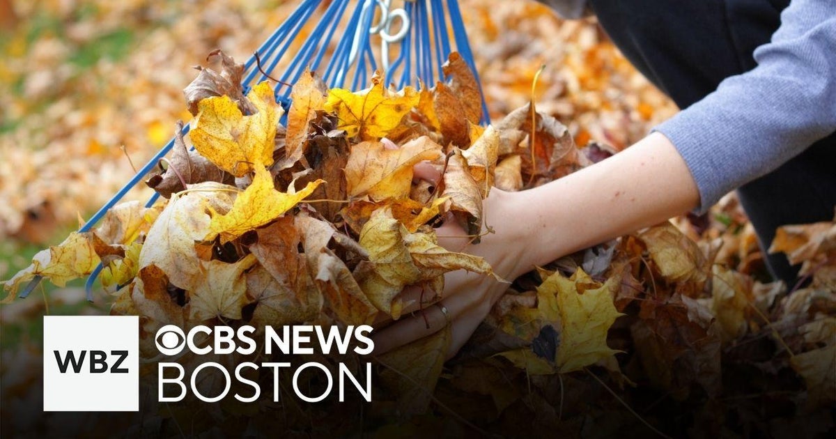 The best time to rake leaves, wildfire smoke update and possible record ...