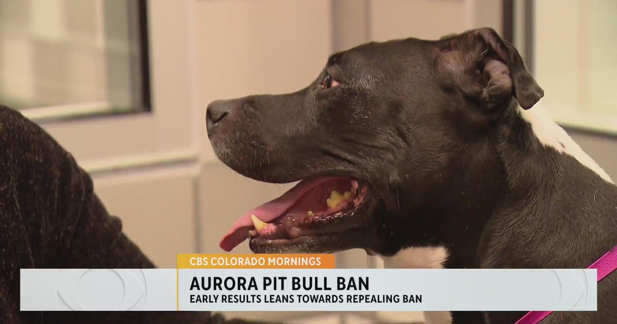 Early results show that voters in Aurora want to repeal the pit bull ...