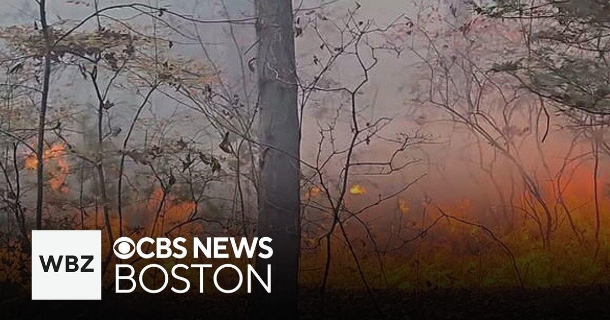 400 acre brush fire in Lynn, Massachusetts and more top stories - CBS ...