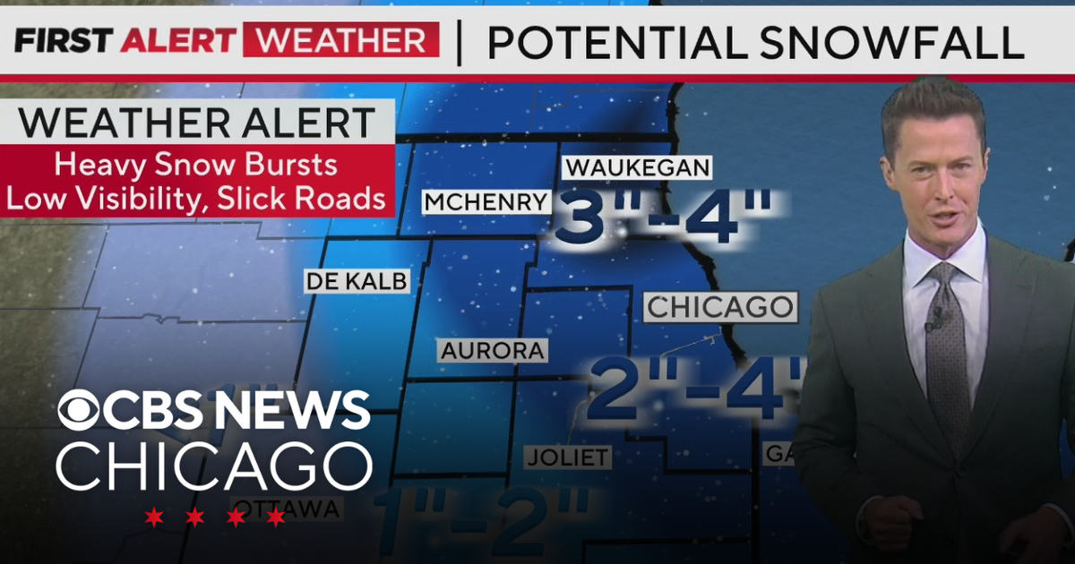 Chicago gets first snowfall of the season. Here's how much to expect ...