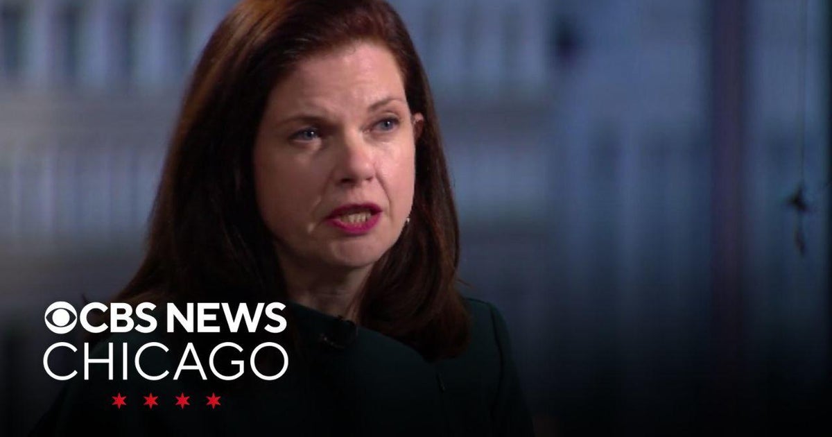 Incoming Cook County State's Attorney Eileen O'Neill Burke announces ...