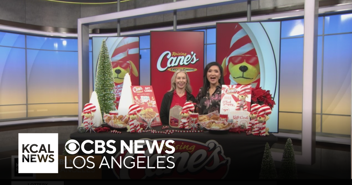 Raising Cane's Plush Puppies campaign - CBS Los Angeles