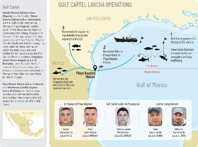 Drug cartel reeling in huge profits with illegal fishing of red snapper ...