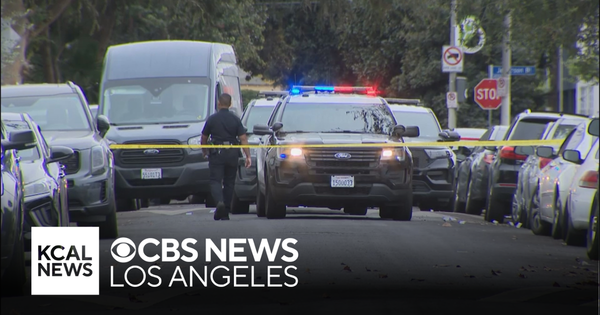 LAPD shoots domestic violence suspect after pursuit ends in West Adams ...