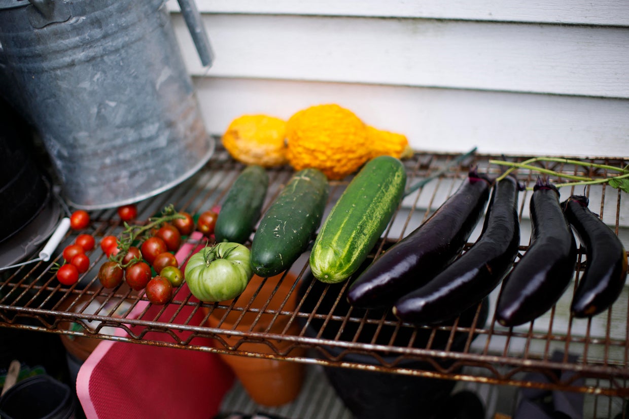 The foods chefs urge people to try during Native American Heritage ...