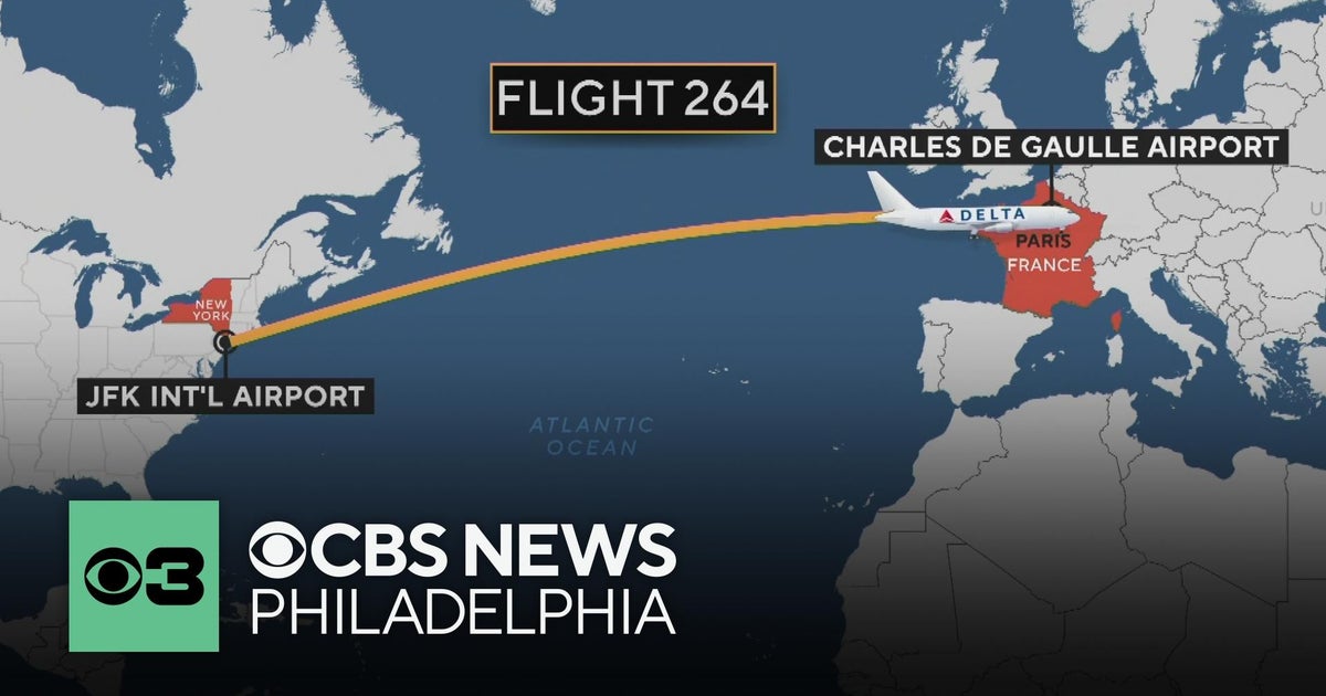 Stowaway with a Philly driver's license removed from New York to Paris ...