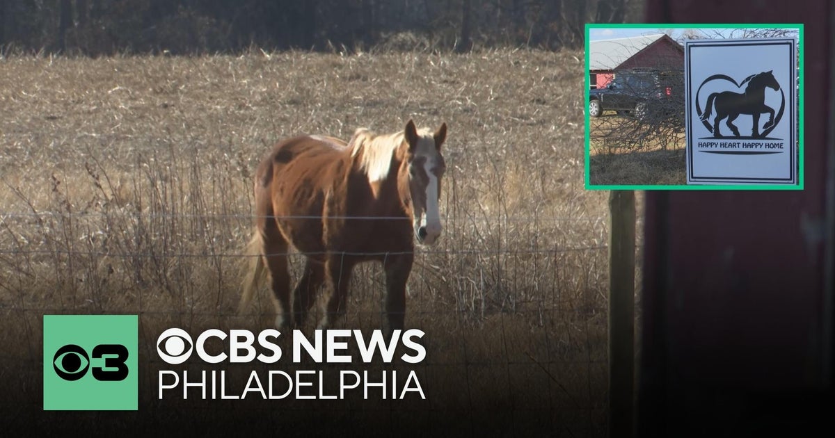 Delaware County's Happy Heart-Happy Home Farm & Rescue starts over in ...