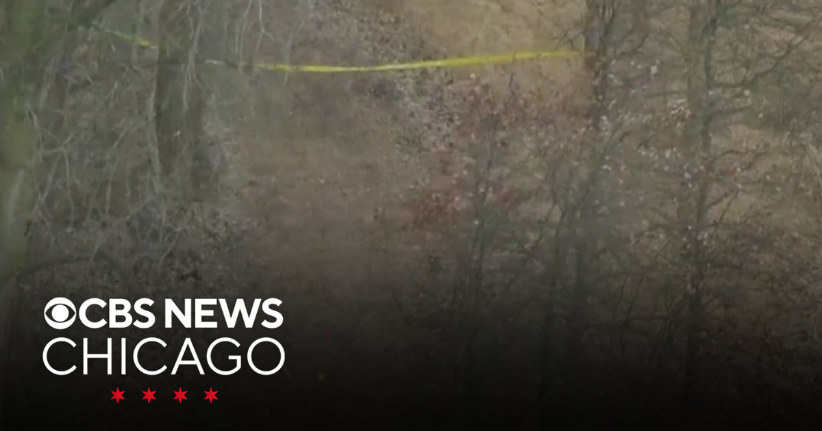 Body found in Lincoln Marsh in Wheaton, Illinois - CBS Chicago