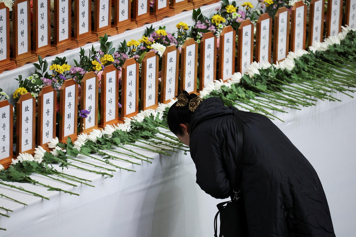 Probe report suggests pilots responsible for South Korean plane crash ...