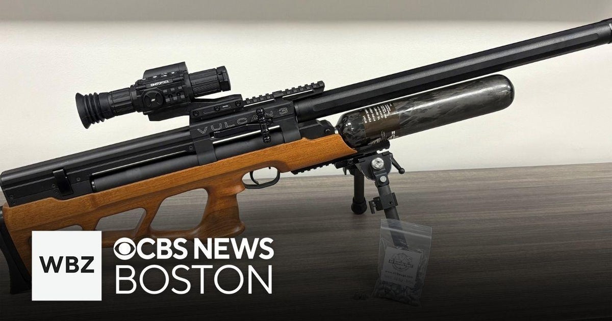 Massachusetts man allegedly shot air rifle at tree workers and more top ...