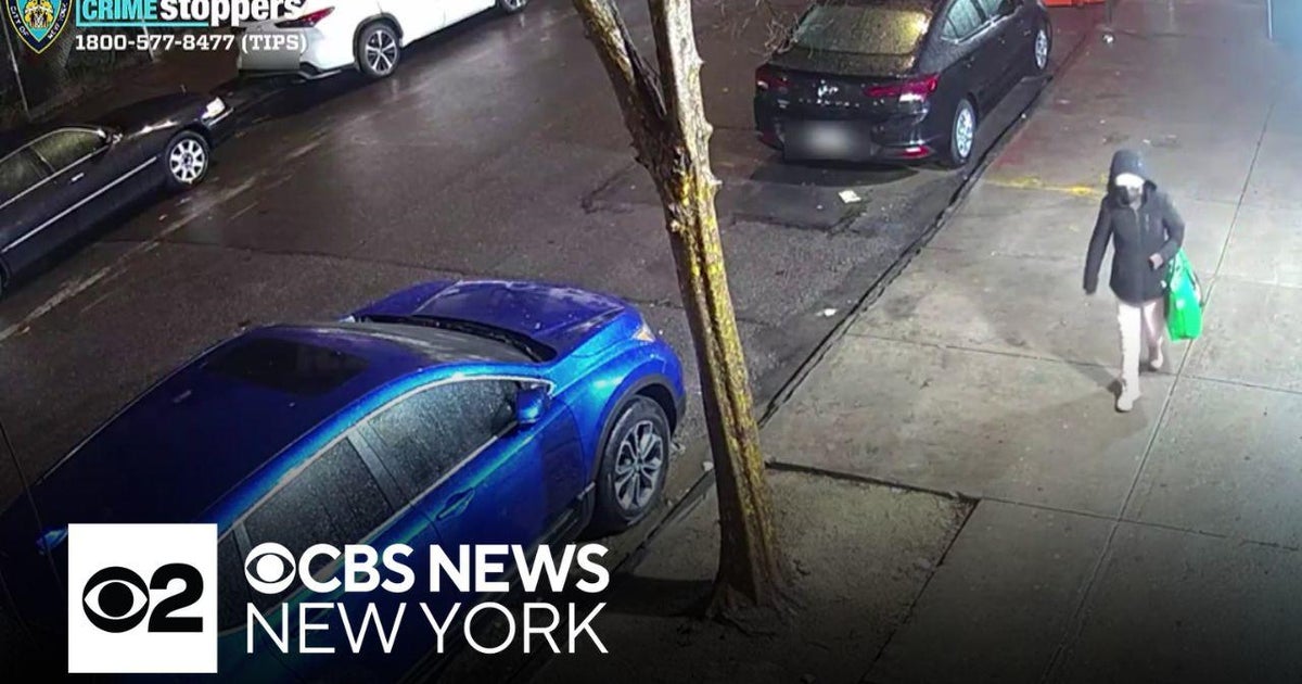 Bronx mother accused of abandoning newborn baby arraigned - CBS New York