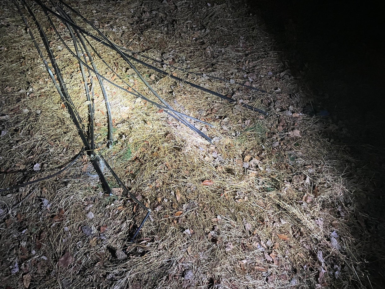 Vandals cut Comcast fiber lines, knock out Xfinity internet for some ...