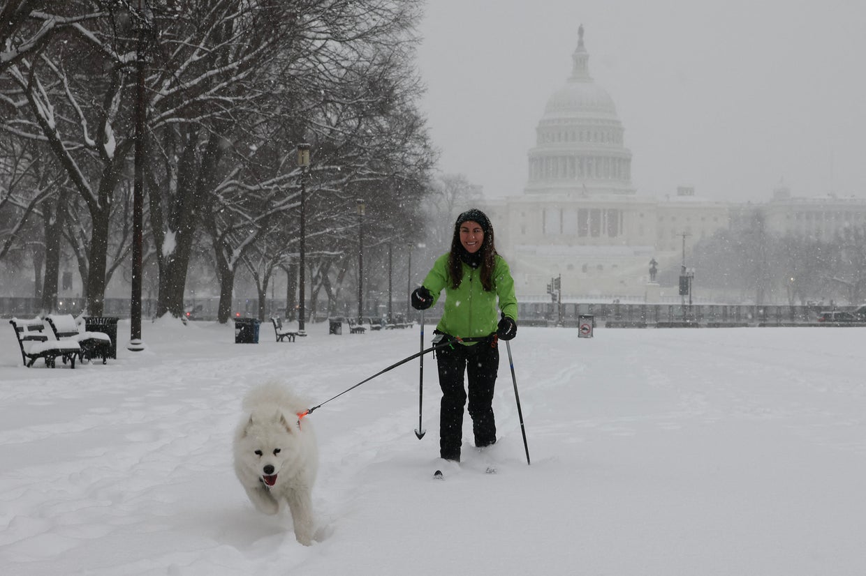 See photos of snow in Washington, D.C., as nation's capital gets over 6 ...