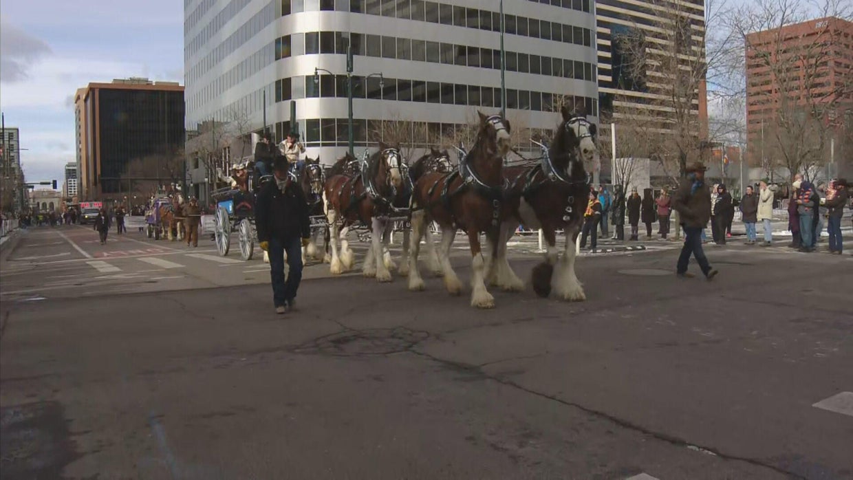 National Western Stock Show Parade 2025