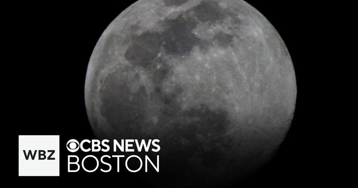 Weekend To Do List: Farmers market and a full moon celebration - CBS Boston