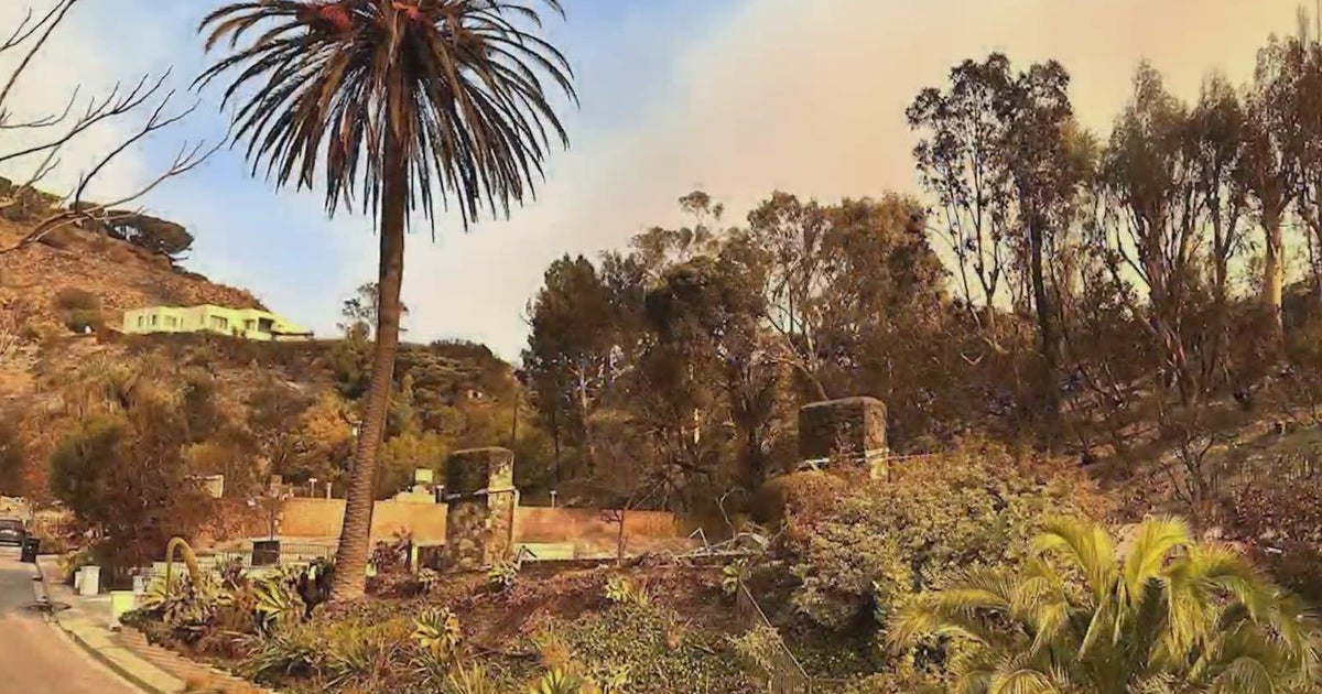 Dallas man finds hope in heartbreak after family home lost in Palisades fire - CBS Texas