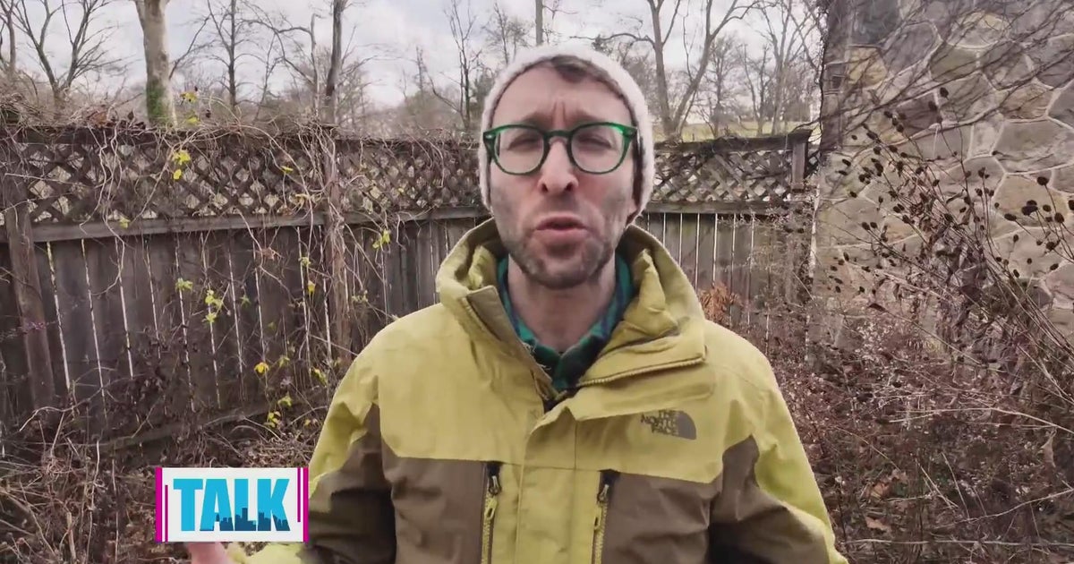 How to get into winter gardening with Boaz Frankel - CBS Pittsburgh