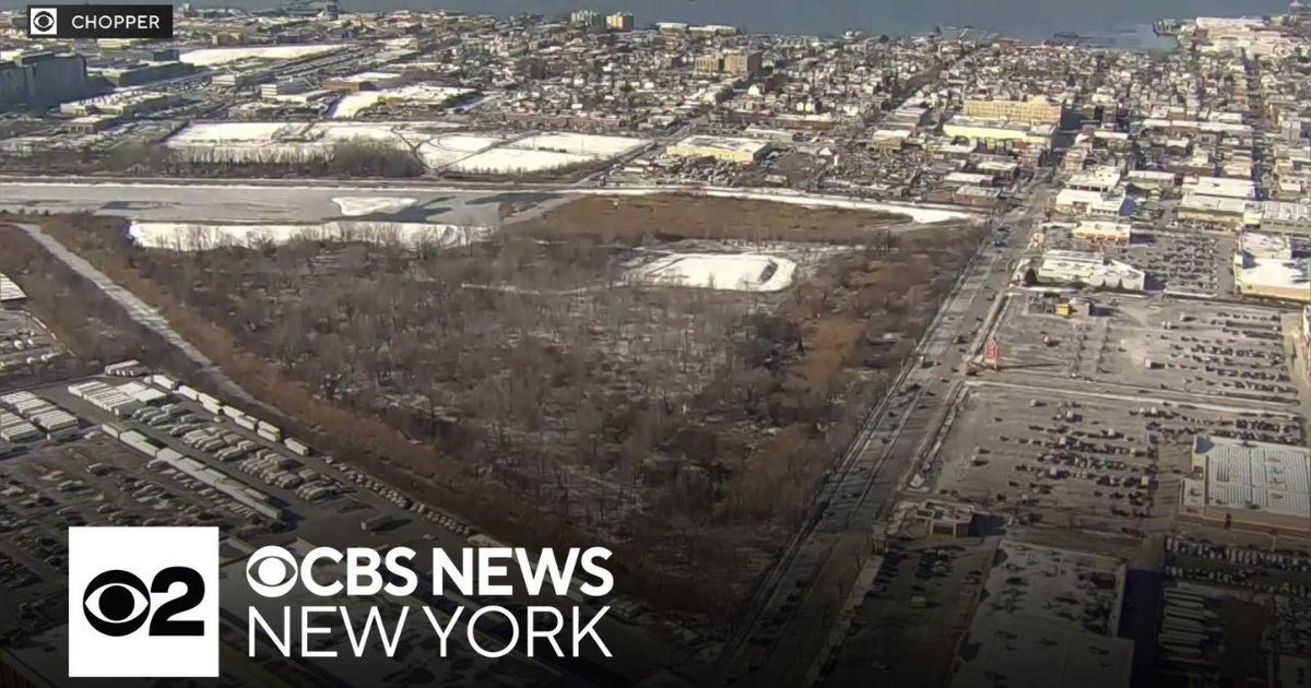 Possible transformation coming to former Flushing Airport site in ...