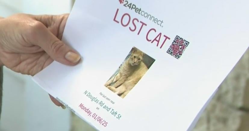 Owners of missing pets warn of scams - CBS Miami