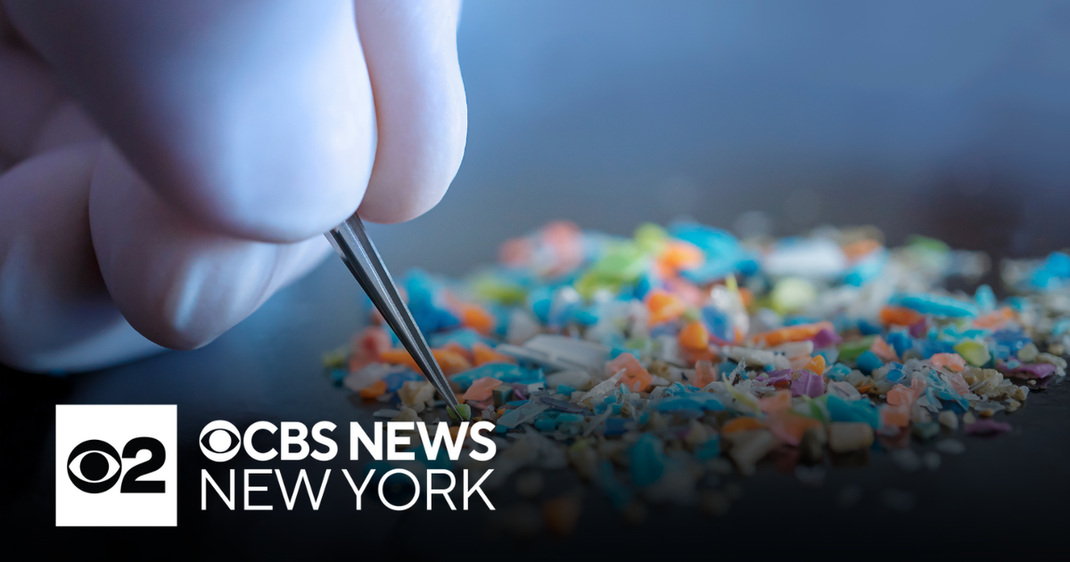 Doctor breaks down study that found alarming rates of microplastics in ...