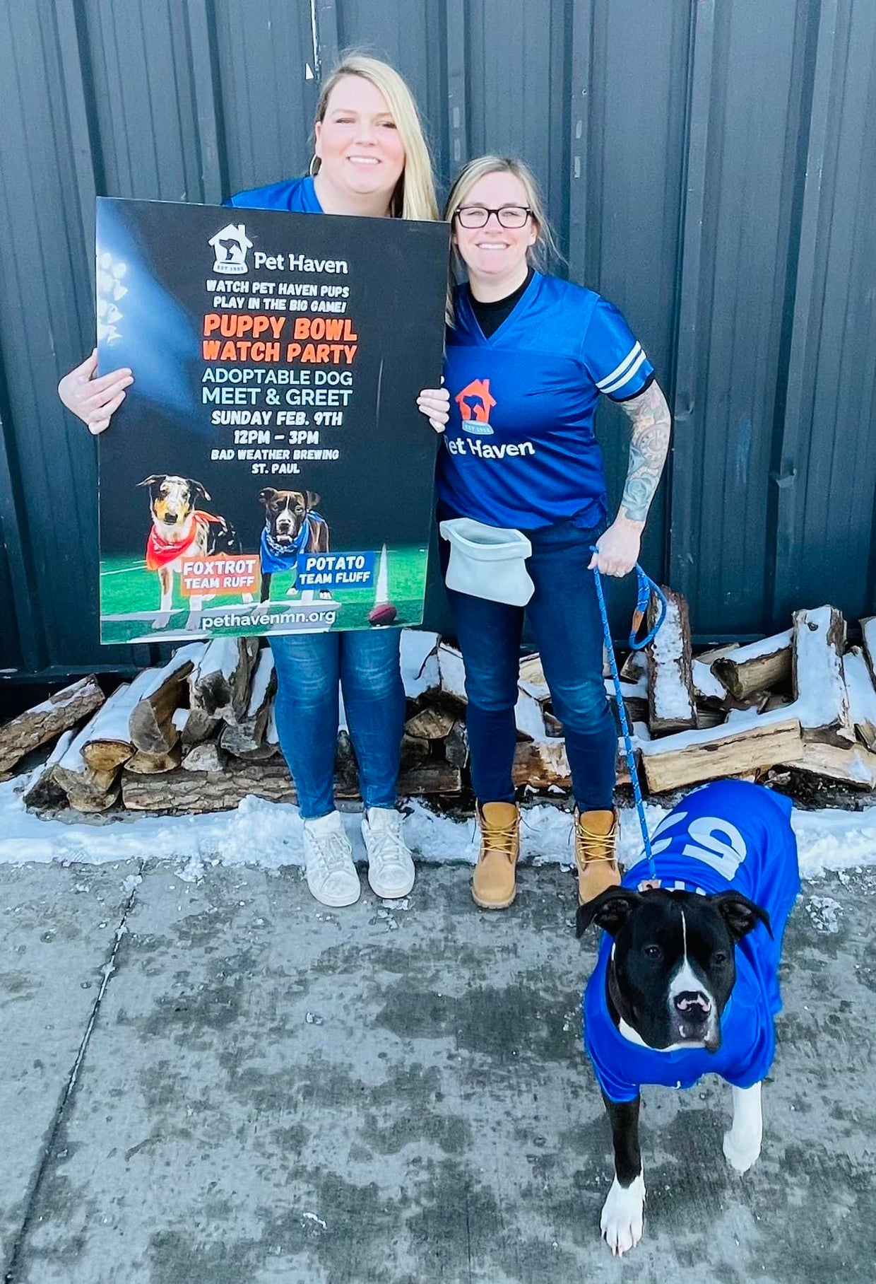 Foxtrot, rescue dog from Pet Haven in Minnesota, wins MVP of Puppy Bowl ...